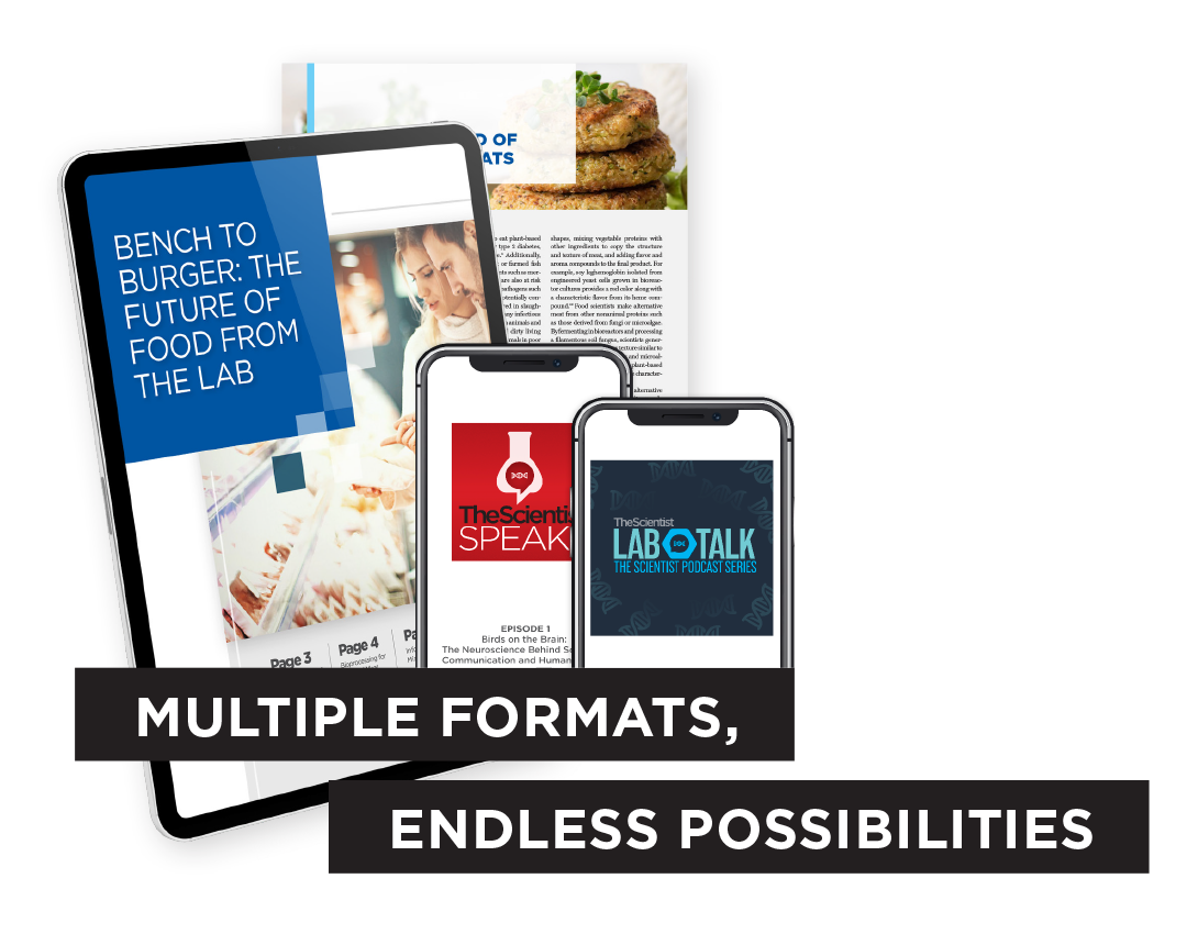 Creative Services - The Scientist Media Kit